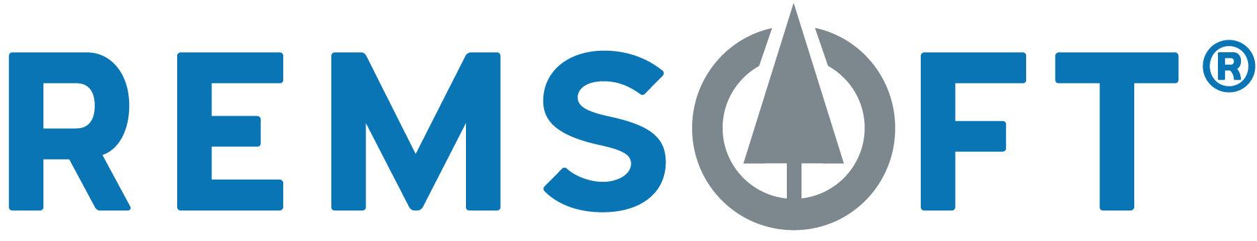 Free Guide: Tactical Planning Optimization in Forestry | Remsoft